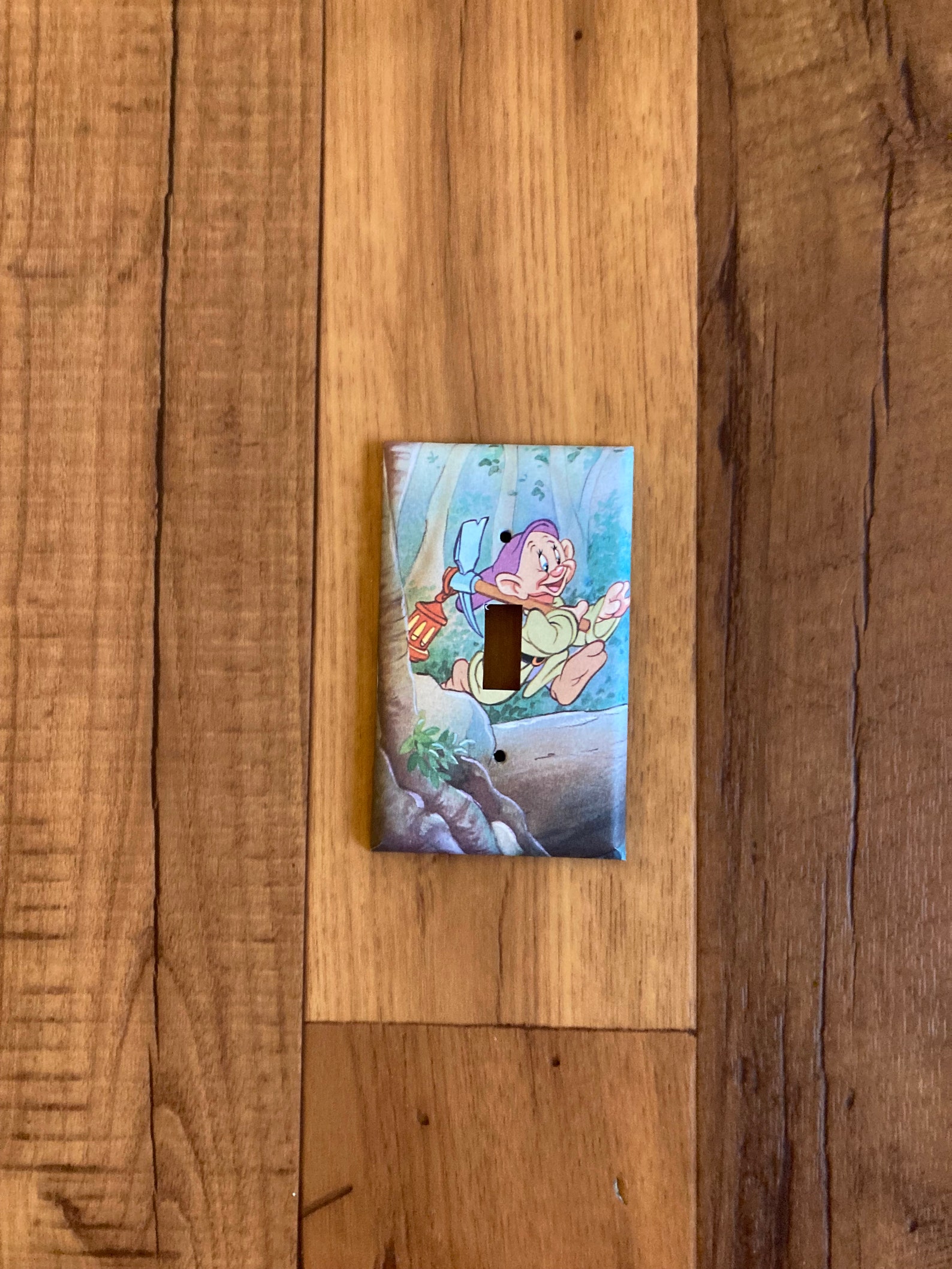 Dopey Snow White and the Seven Dwarfs Light Switch Cover, SW4 - Etsy