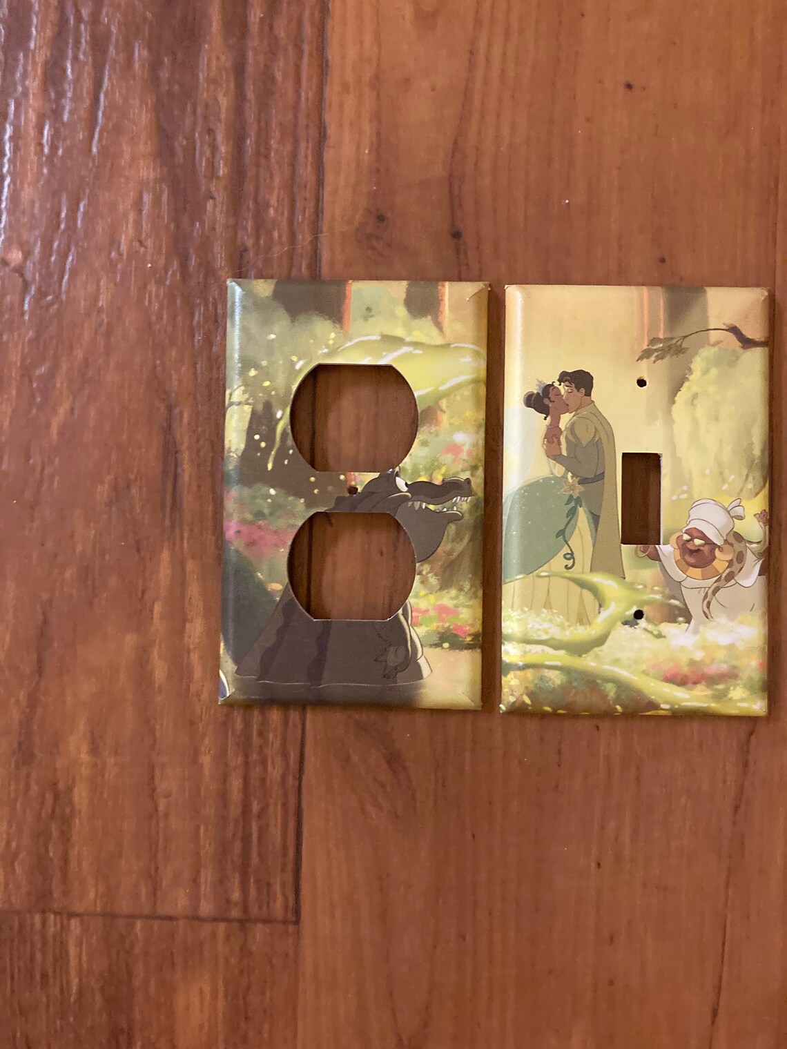 The Princess and the Frog Light Switch and Electrical Outlet Covers ...
