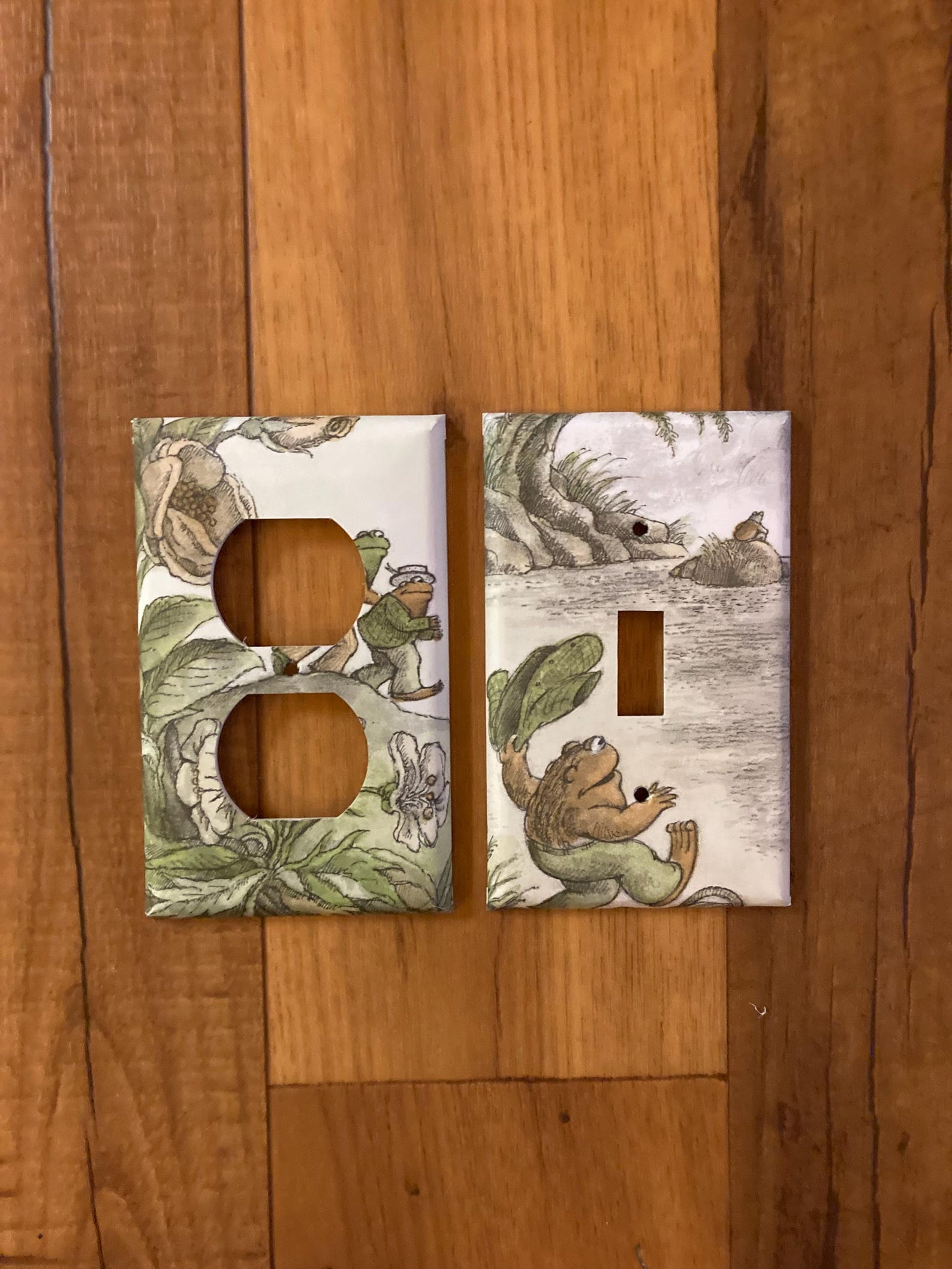 Adorable Frog and Toad Light Switch and Electrical Outlet Cover ...