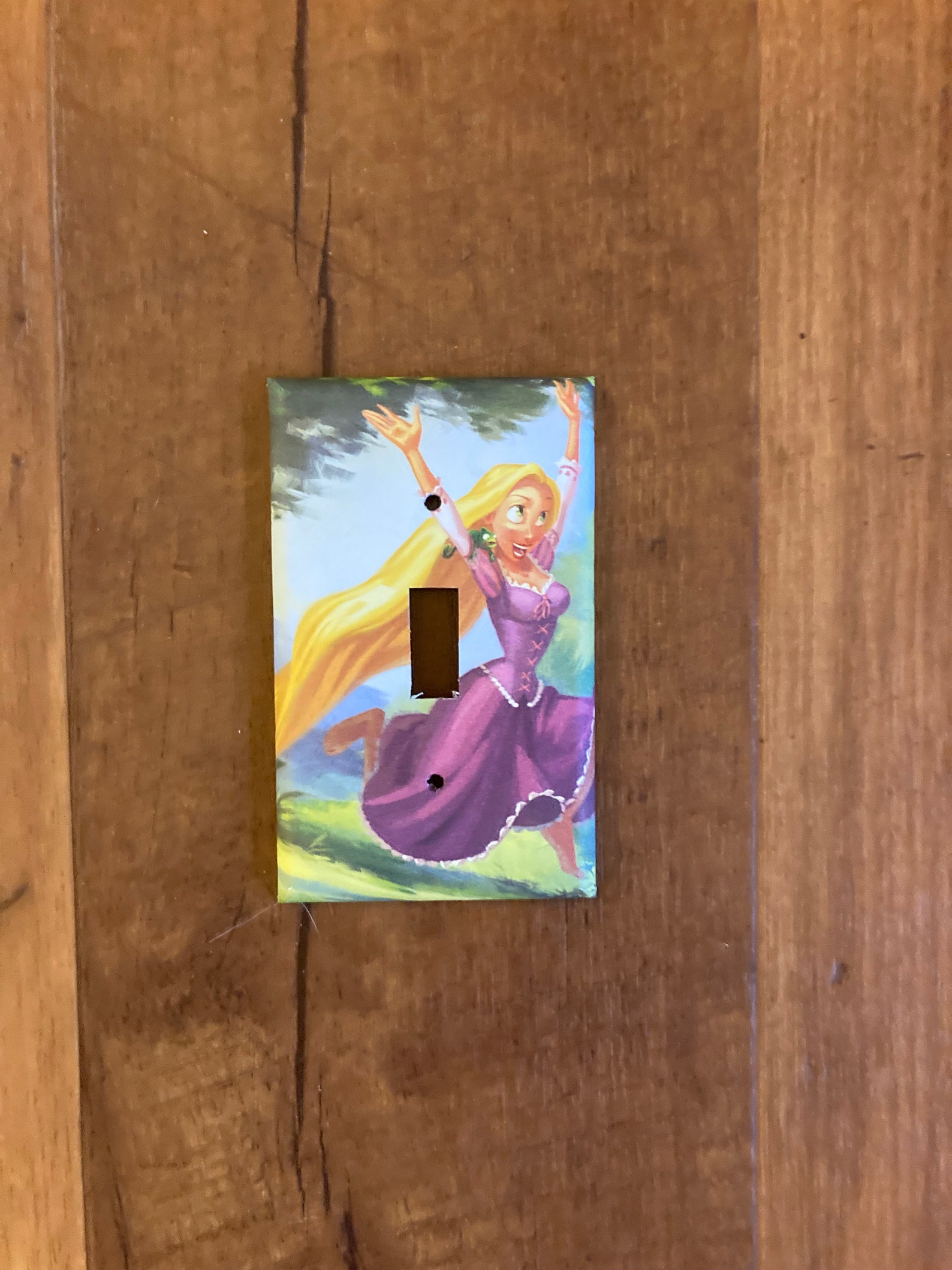 Tangled rapunzel Light Switch Plate Cover Tangled Decor - Etsy