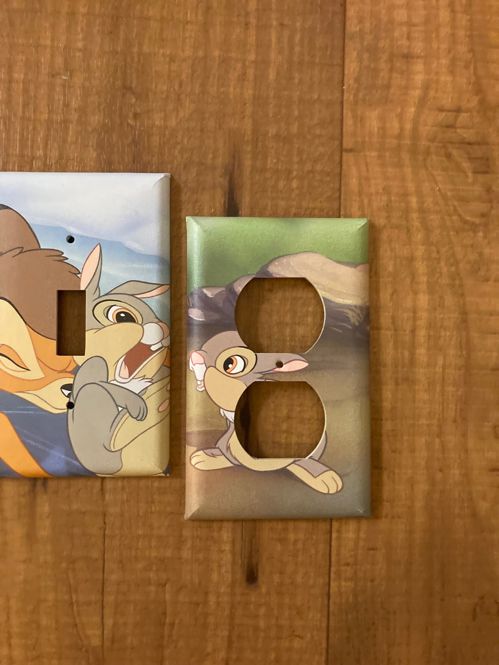 Bambi and Thumper Light Switch Cover and Electrical Outlet Cover, BAM2 ...