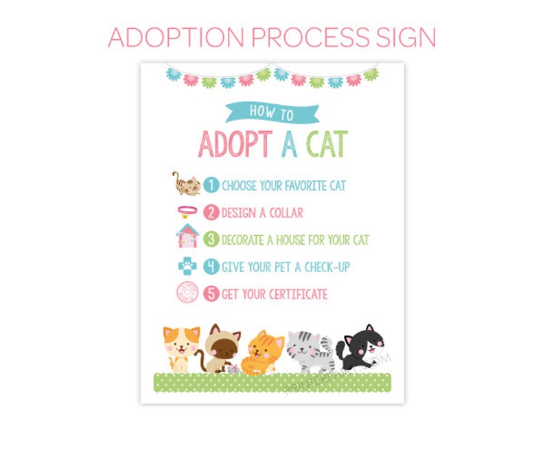 Cat Adoption Station Package Pet Adoption Center Full Pack | Etsy