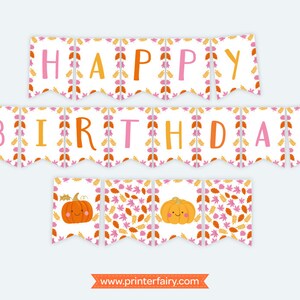Little Pumpkin Girl Birthday Banner, Autumn Birthday Party Decor ...