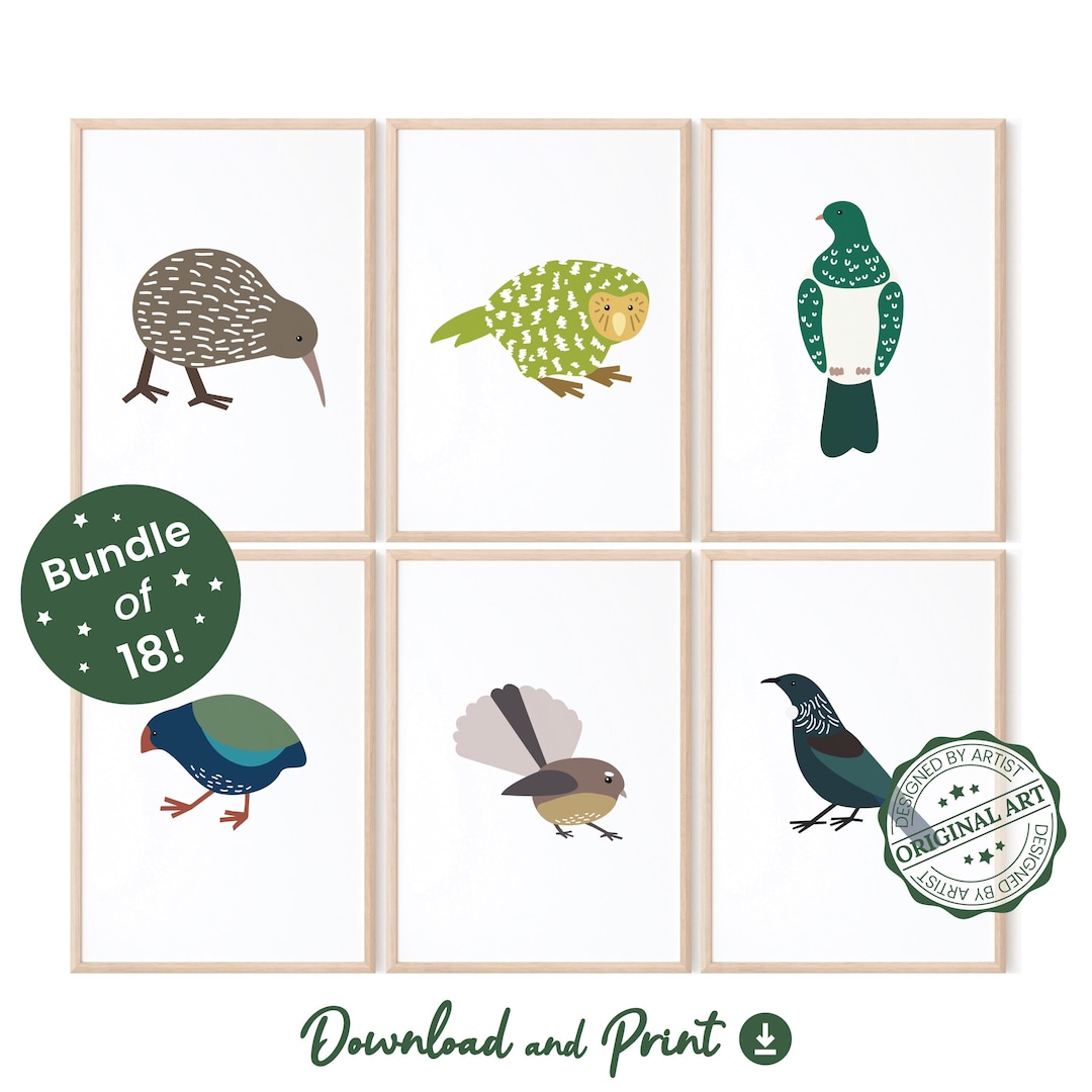 New Zealand Birds Printable Wall Art, Cute NZ Birds and Bugs, HUGE ...