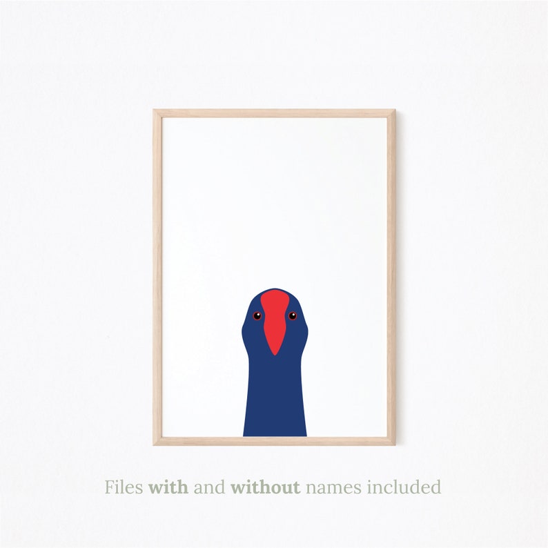 New Zealand Birds Wall Art MEGA BUNDLE Set of 20 - Etsy