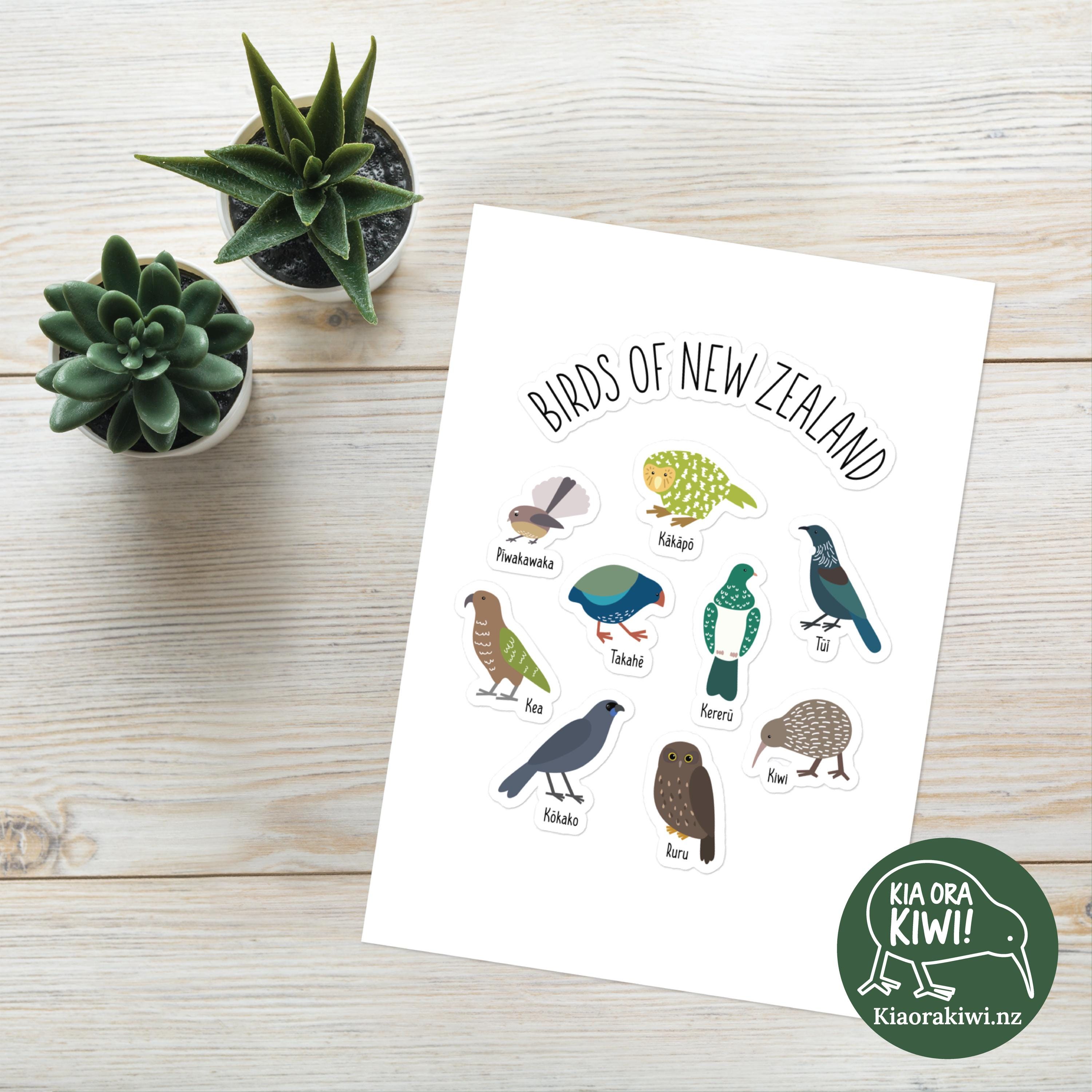 Birds of New Zealand Sticker Sheet | Cute New Zealand Birds | Cute Bird ...