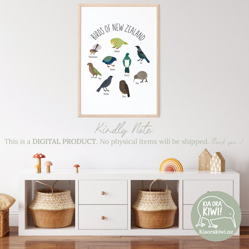 Birds of New Zealand | PRINTABLE Wall Art | DIGITAL DOWNLOAD | New ...