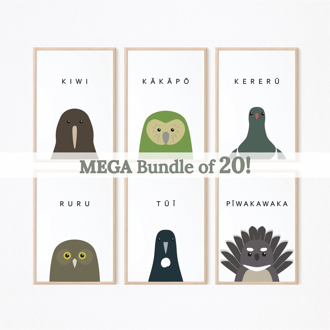 New Zealand Birds Wall Art MEGA BUNDLE Set of 20 - Etsy