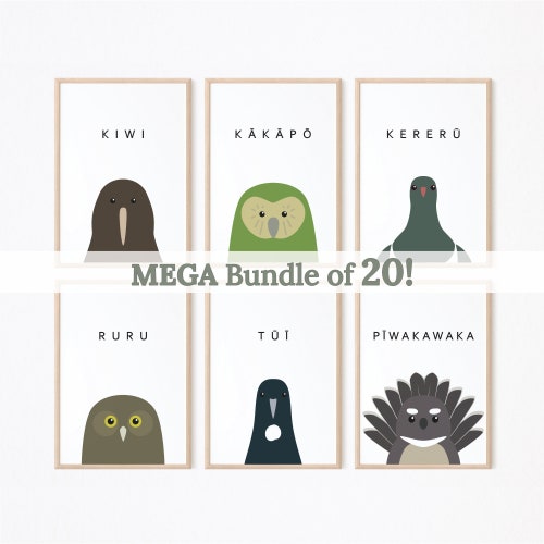 New Zealand Birds Wall Art MEGA BUNDLE Set of 20 - Etsy