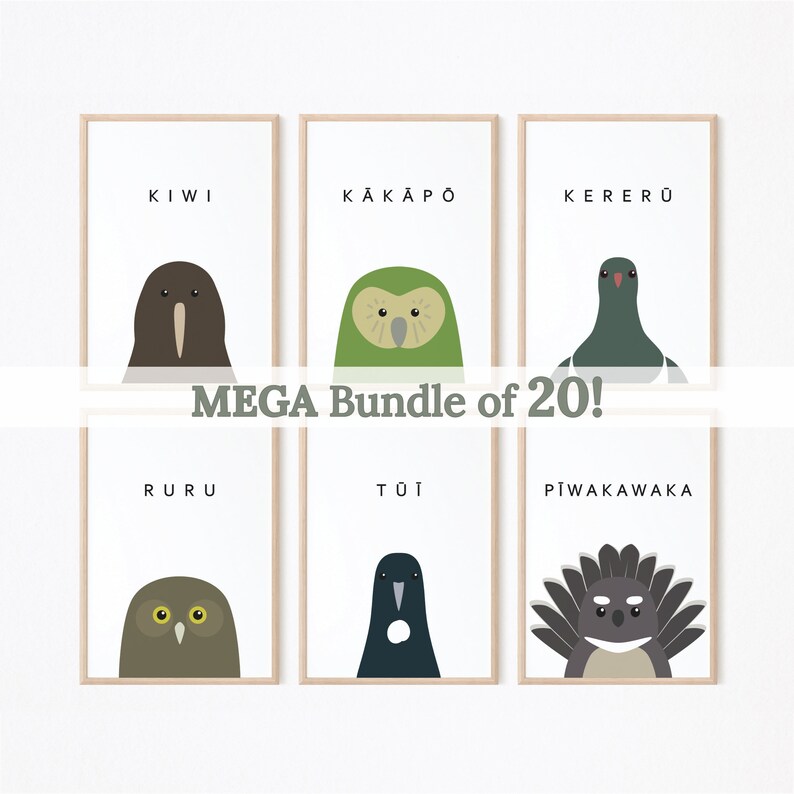 New Zealand Birds Wall Art MEGA BUNDLE Set of 20 - Etsy