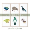 New Zealand Bird Wall Art | Native Kereru Wood Pigeon | Printable ...