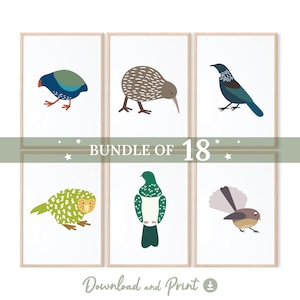 New Zealand Birds Printable Wall Art Cute NZ Birds and Bugs - Etsy New ...