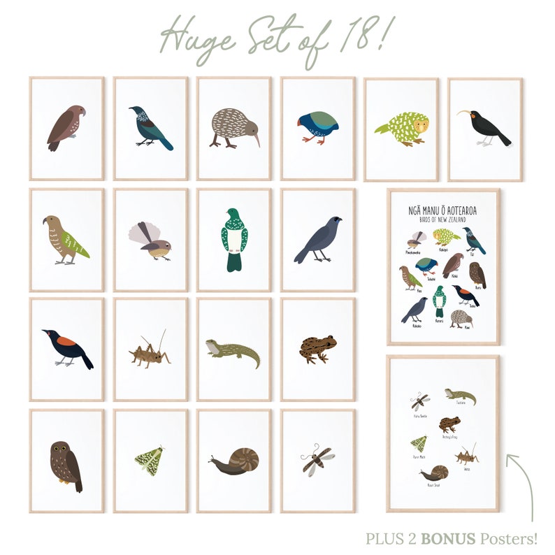 New Zealand Birds Printable Wall Art Cute Birds and Bugs - Etsy