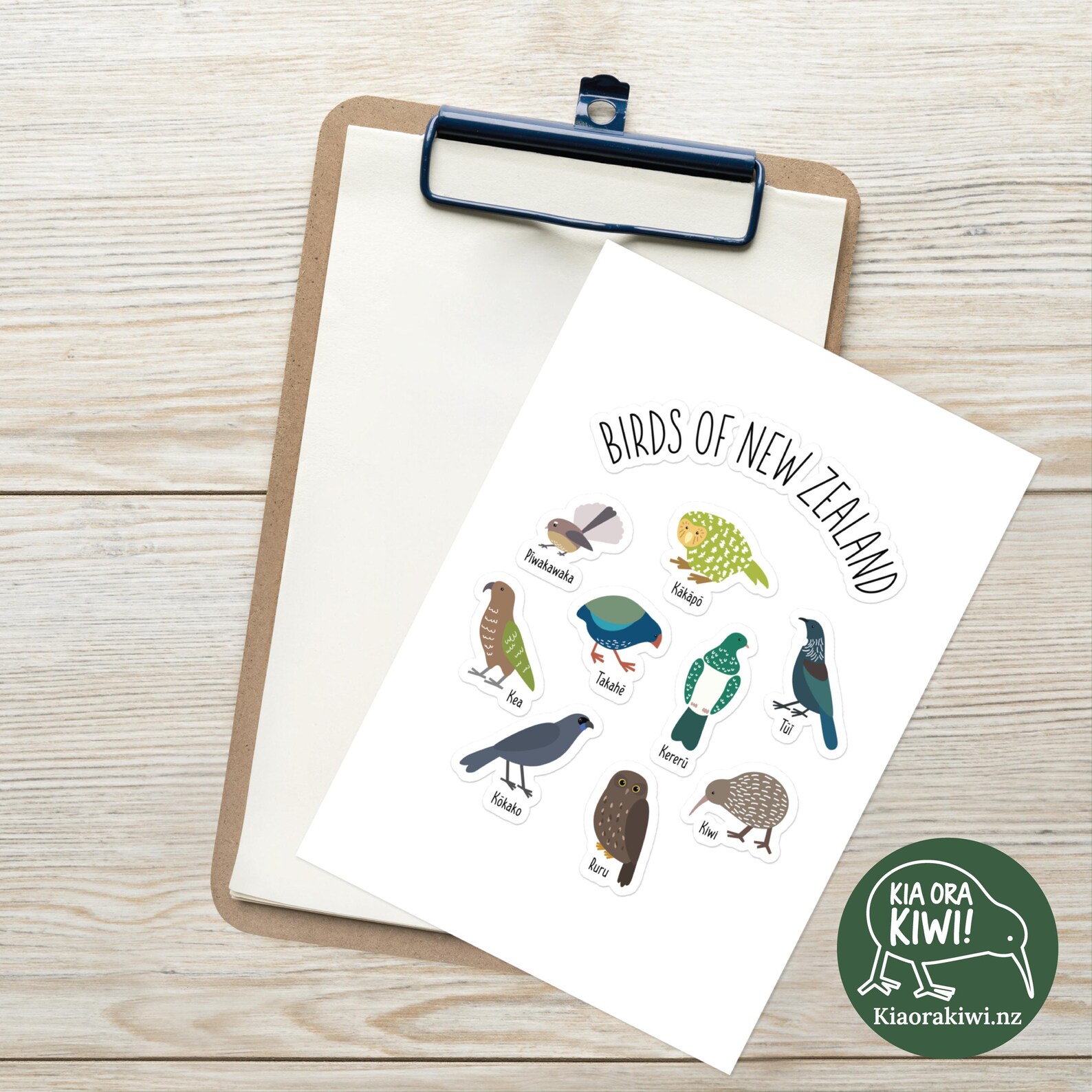 Birds of New Zealand Sticker Sheet | Cute New Zealand Birds | Cute Bird ...