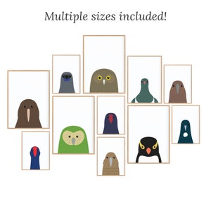 New Zealand Birds Wall Art, MEGA BUNDLE, Set of 20! , Printable ...
