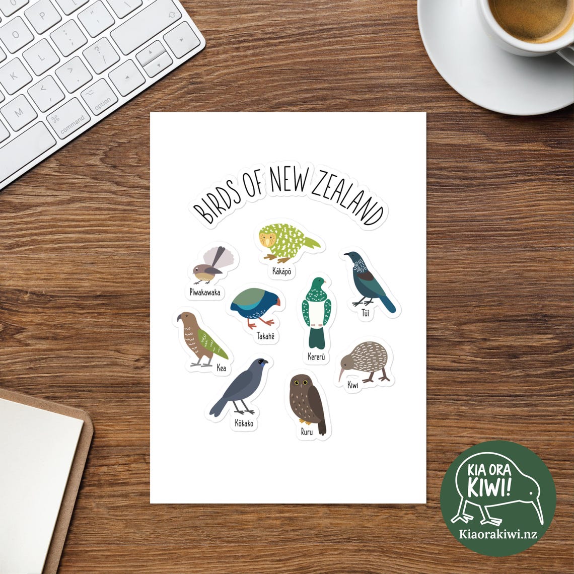 Birds of New Zealand Sticker Sheet | Cute New Zealand Birds | Cute Bird ...