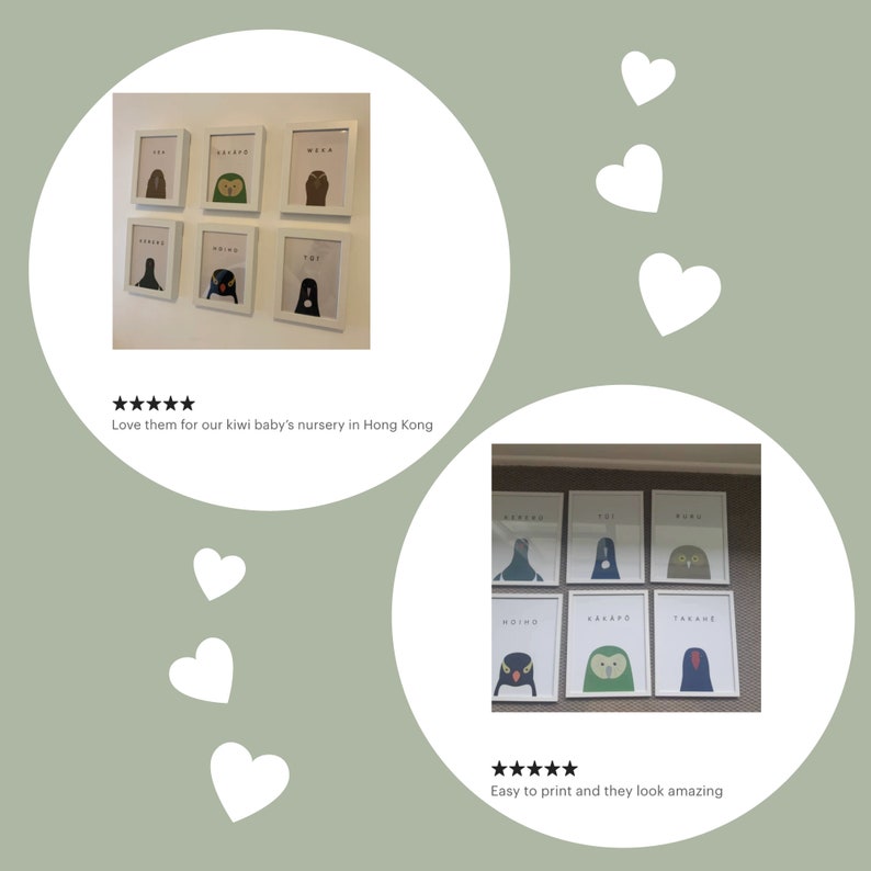 New Zealand Birds Wall Art MEGA BUNDLE Set of 20 - Etsy