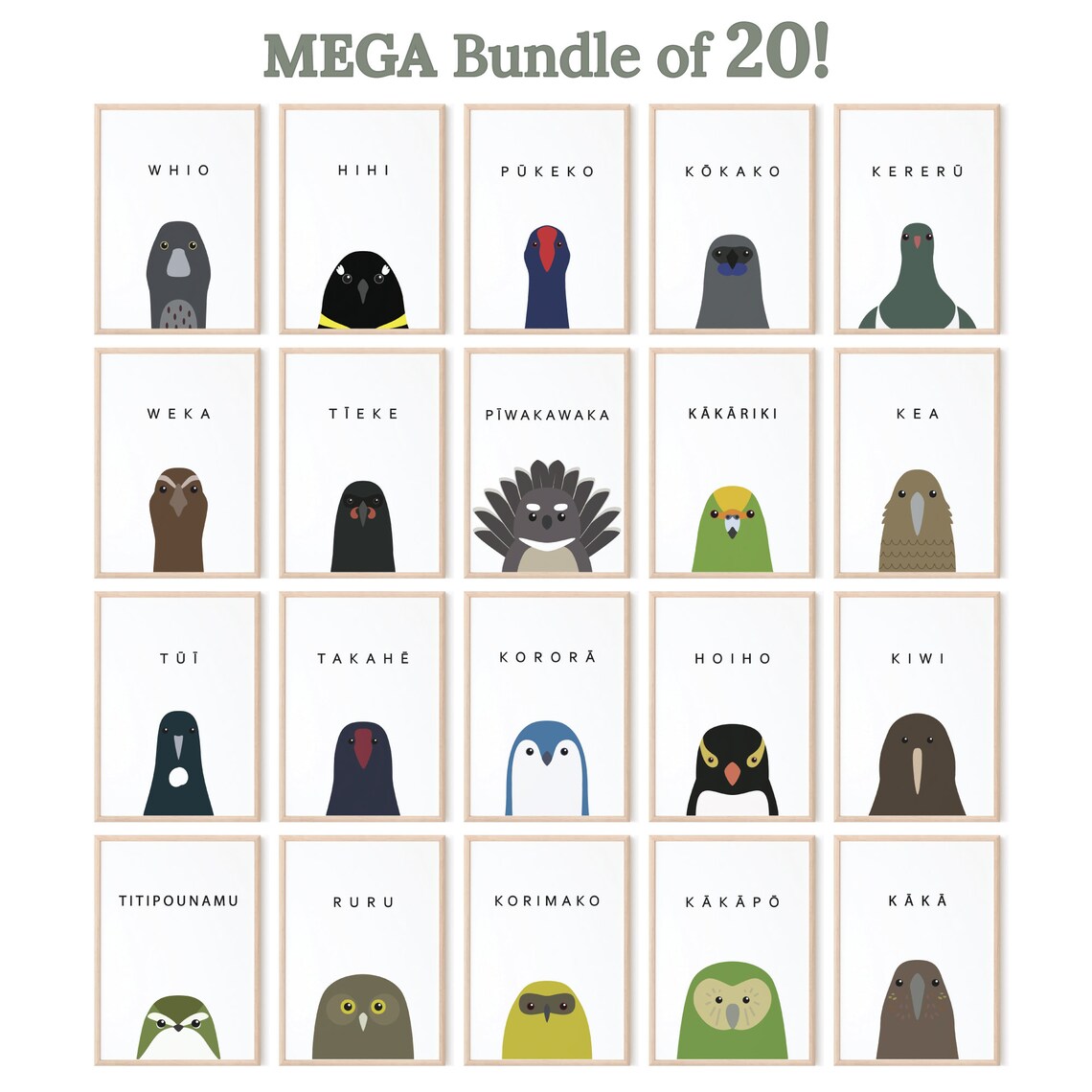 New Zealand Birds Wall Art MEGA BUNDLE Set of 20 - Etsy