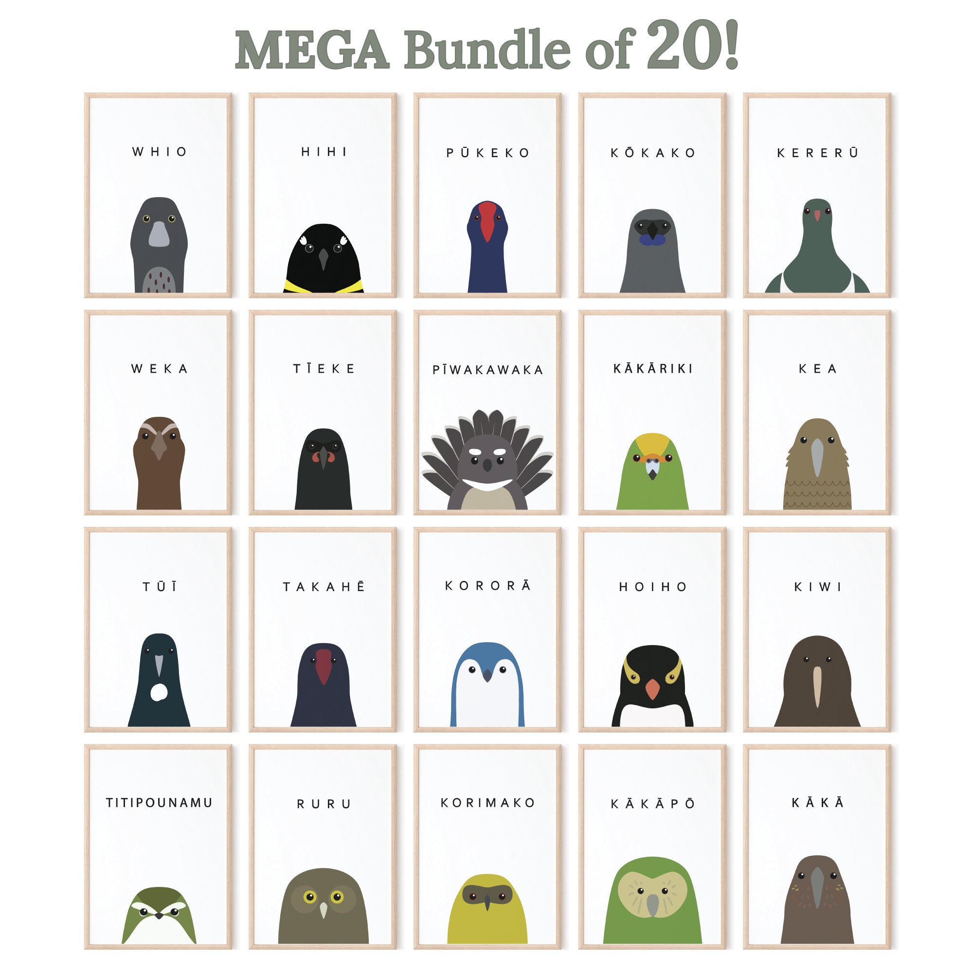 New Zealand Birds Wall Art, MEGA BUNDLE, Set of 20 , Printable, Instant ...