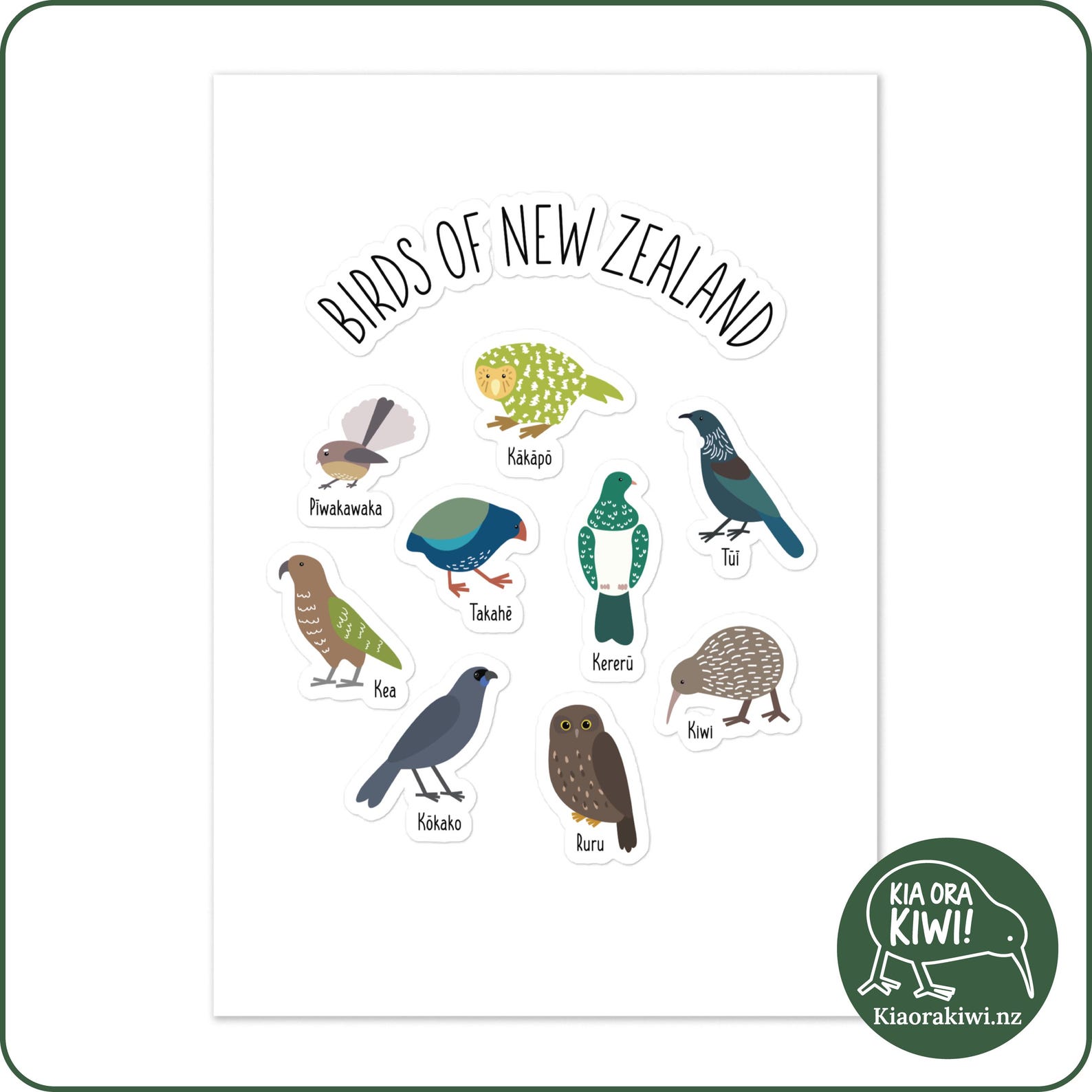 Birds of New Zealand Sticker Sheet | Cute New Zealand Birds | Cute Bird ...