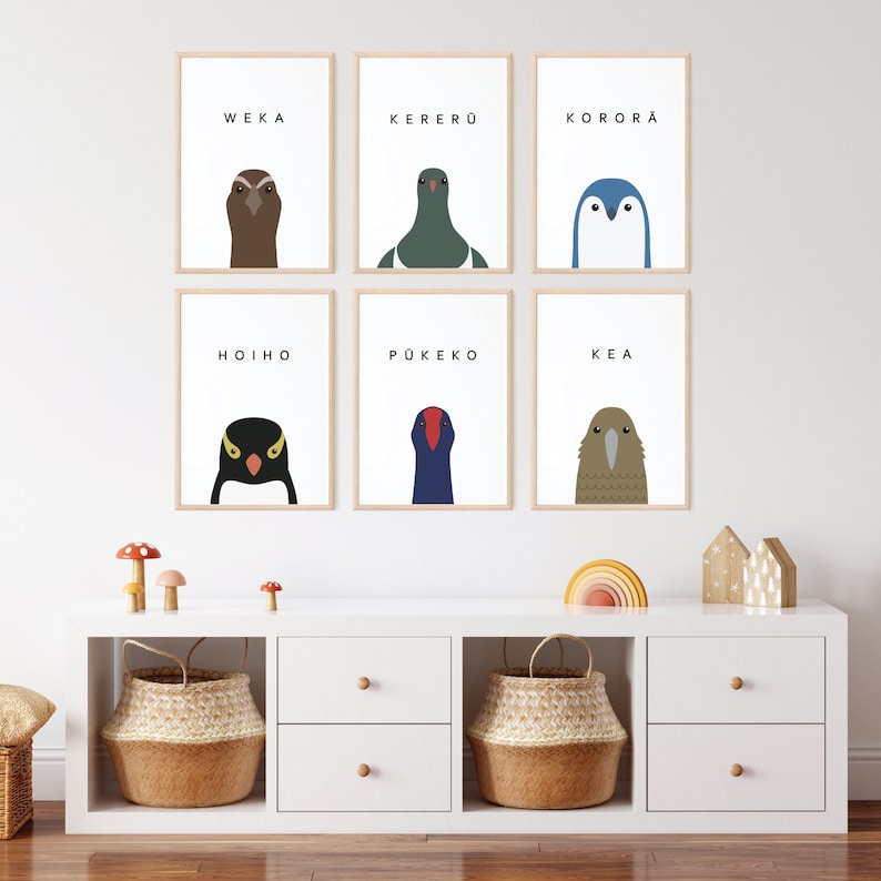 New Zealand Birds Wall Art MEGA BUNDLE Set of 20 - Etsy