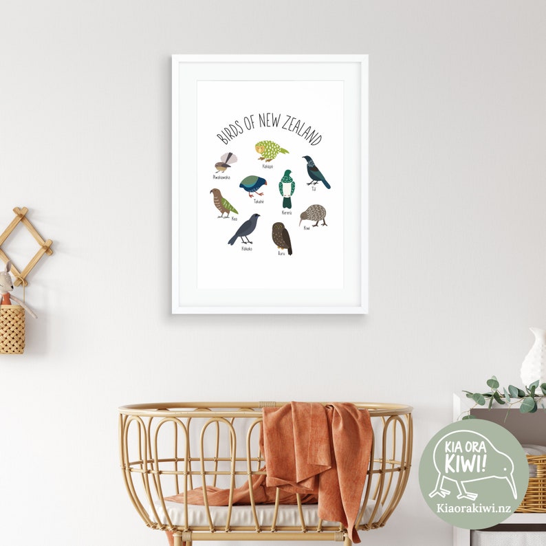 Birds of New Zealand | PRINTABLE Wall Art | DIGITAL DOWNLOAD | New ...