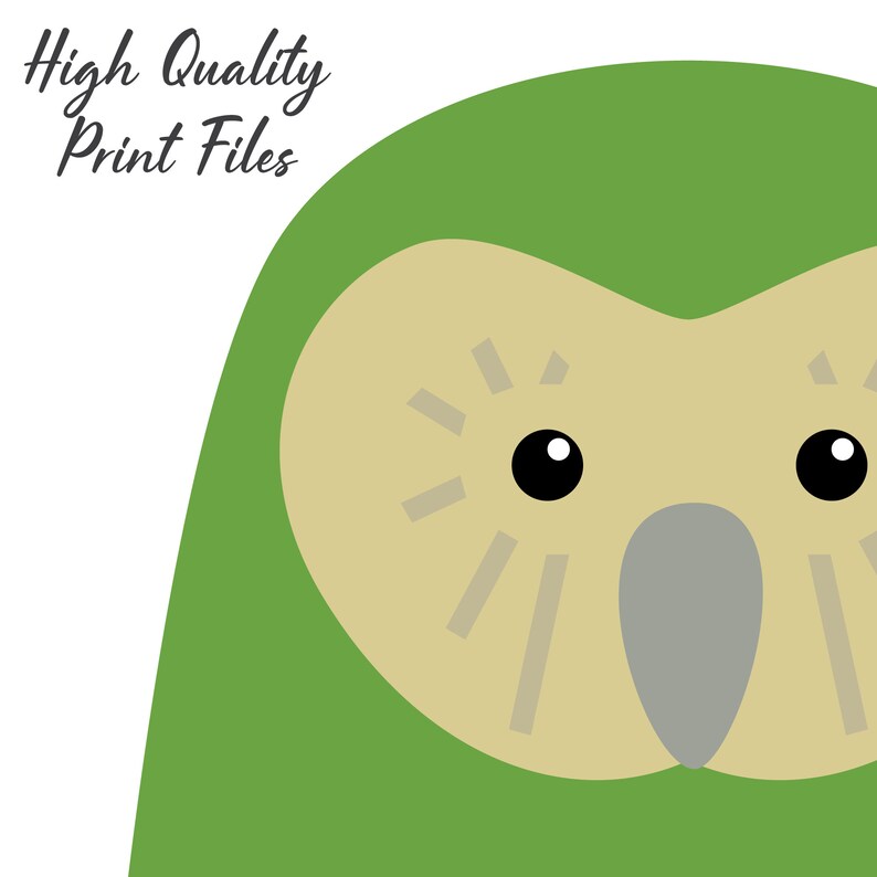 New Zealand Birds Wall Art MEGA BUNDLE Set of 20 - Etsy