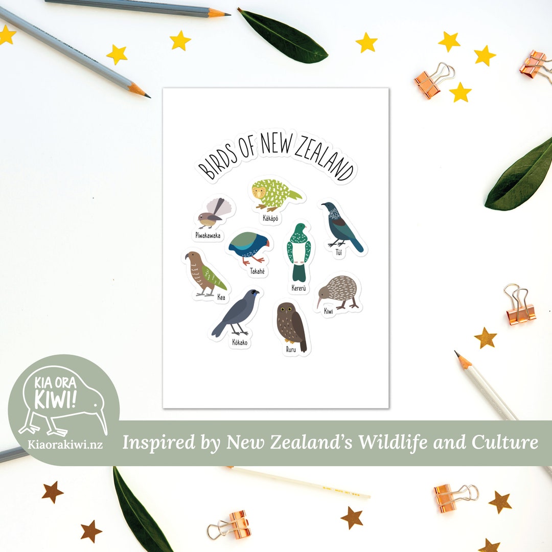 Birds of New Zealand Sticker Sheet | Cute New Zealand Birds | Cute Bird ...