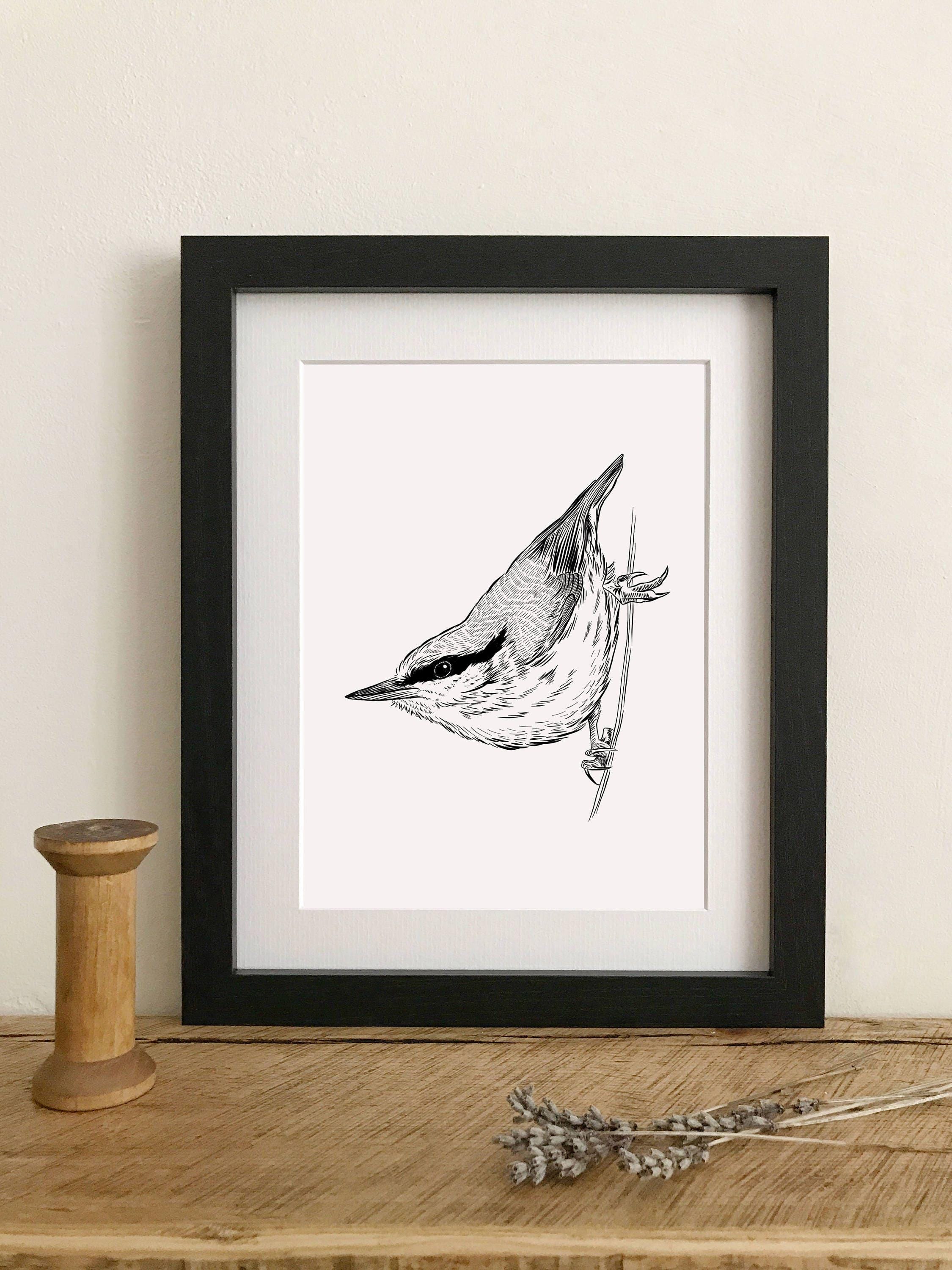 Nuthatch Giclee Print From a Hand Drawn Illustration - Nuthatch Drawing ...
