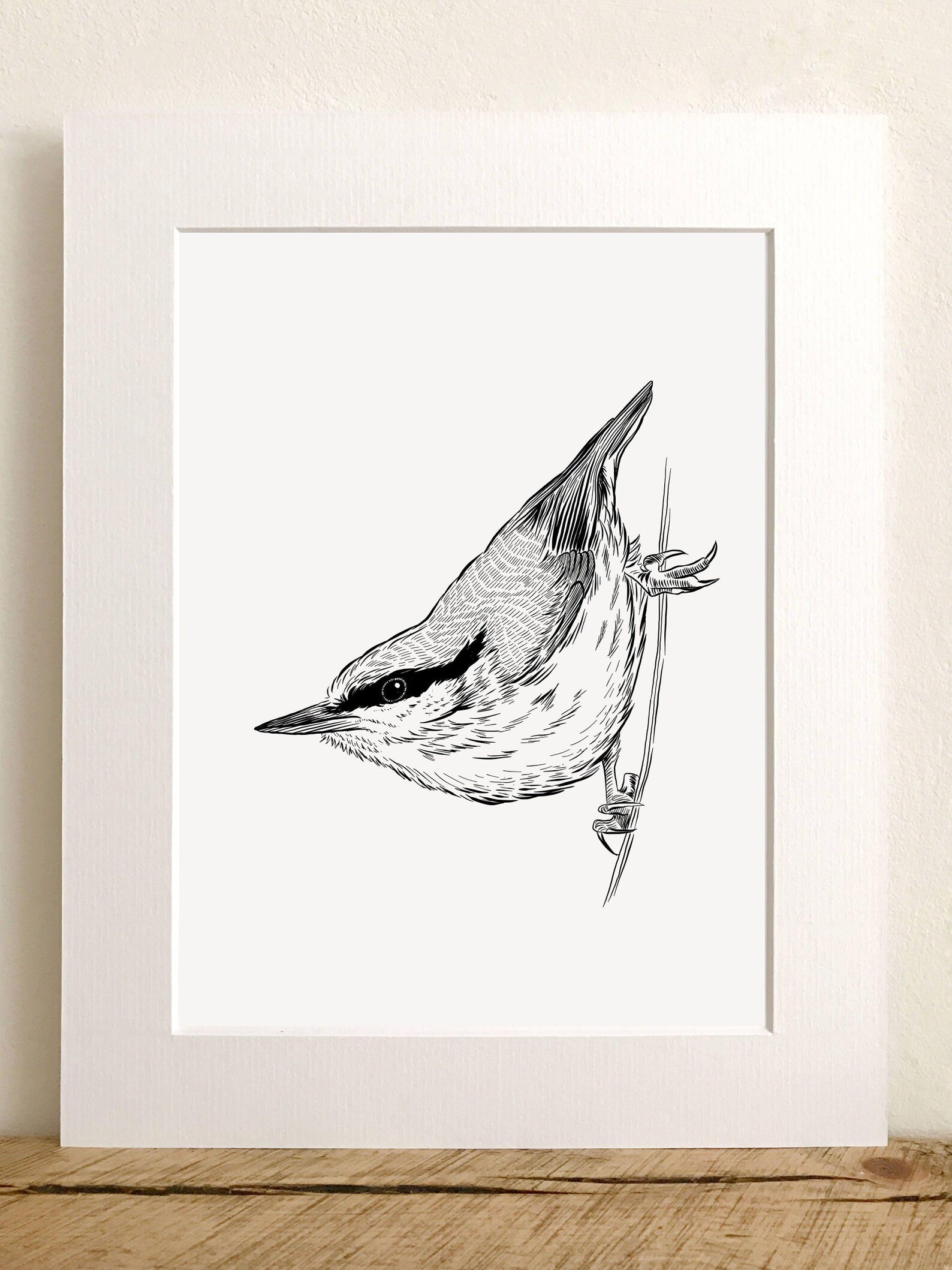 Nuthatch Giclee Print From a Hand Drawn Illustration - Nuthatch Drawing ...