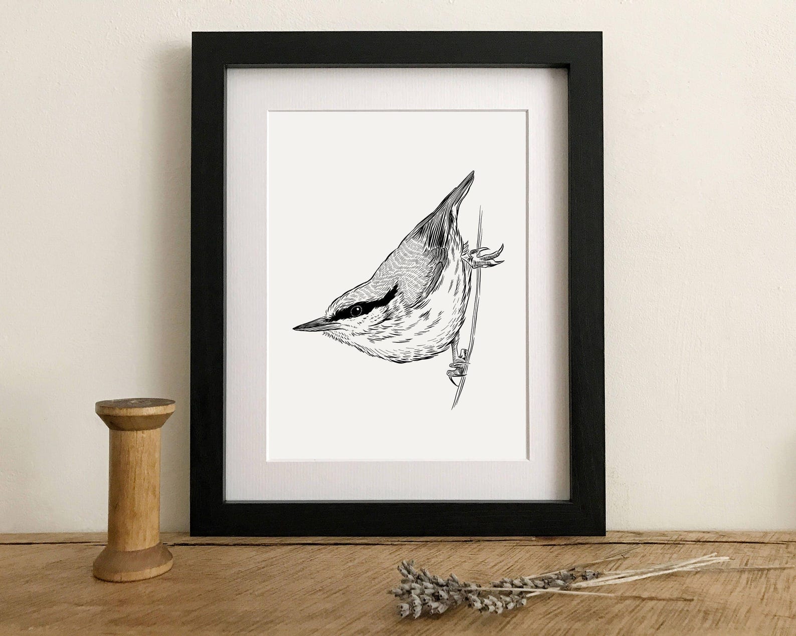 Nuthatch Giclee Print From a Hand Drawn Illustration - Nuthatch Drawing ...
