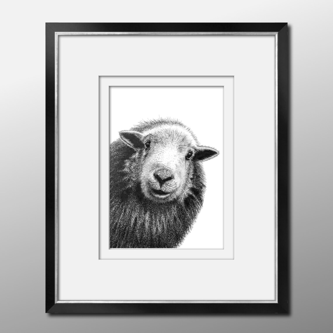 Herdwick Sheep Giclee Print. Sheep Ink. Sheep Drawing. - Etsy UK