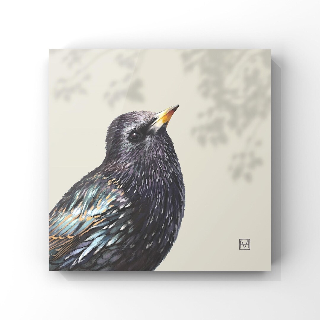 Starling, Art Print of an Original Painting, British Garden Birds ...