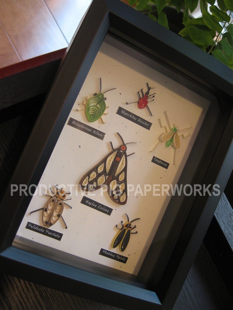 Insect Collection Handmade With Quilled Colored Paper Framed - Etsy