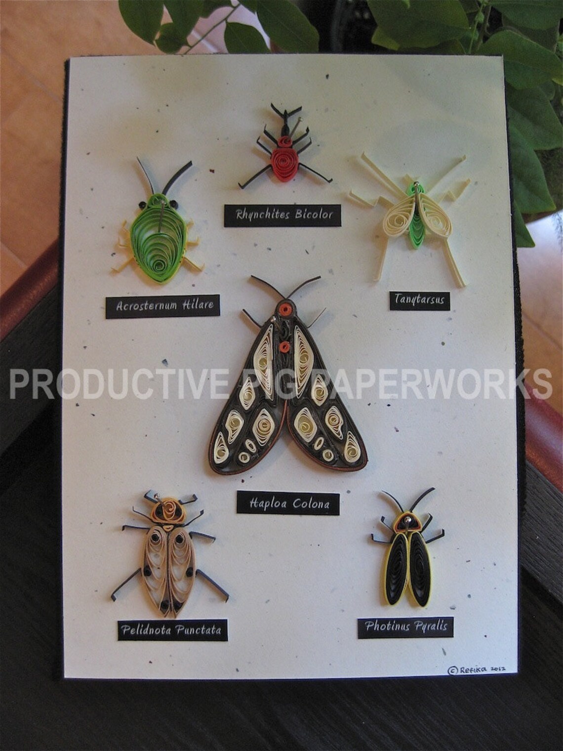 Insect Collection Handmade With Quilled Colored Paper Framed - Etsy