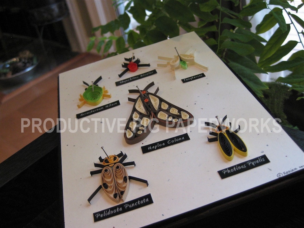 Insect Collection Handmade With Quilled Colored Paper Framed - Etsy