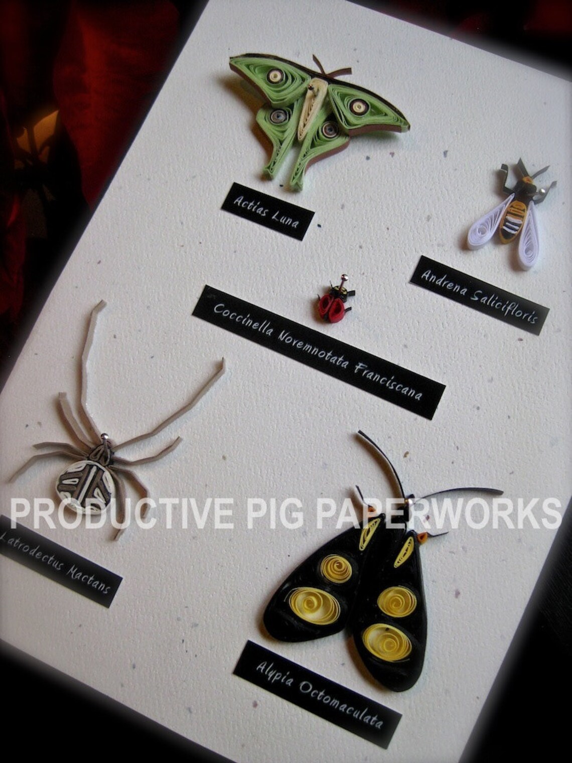 Insect Collection Handmade With Quilled Colored Paper Framed - Etsy