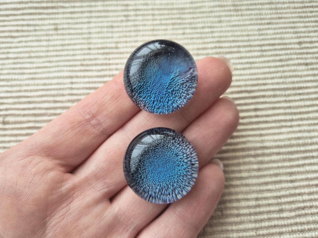 Fridge and Office Board Magnets. Set of 2 Round Magnets. - Etsy