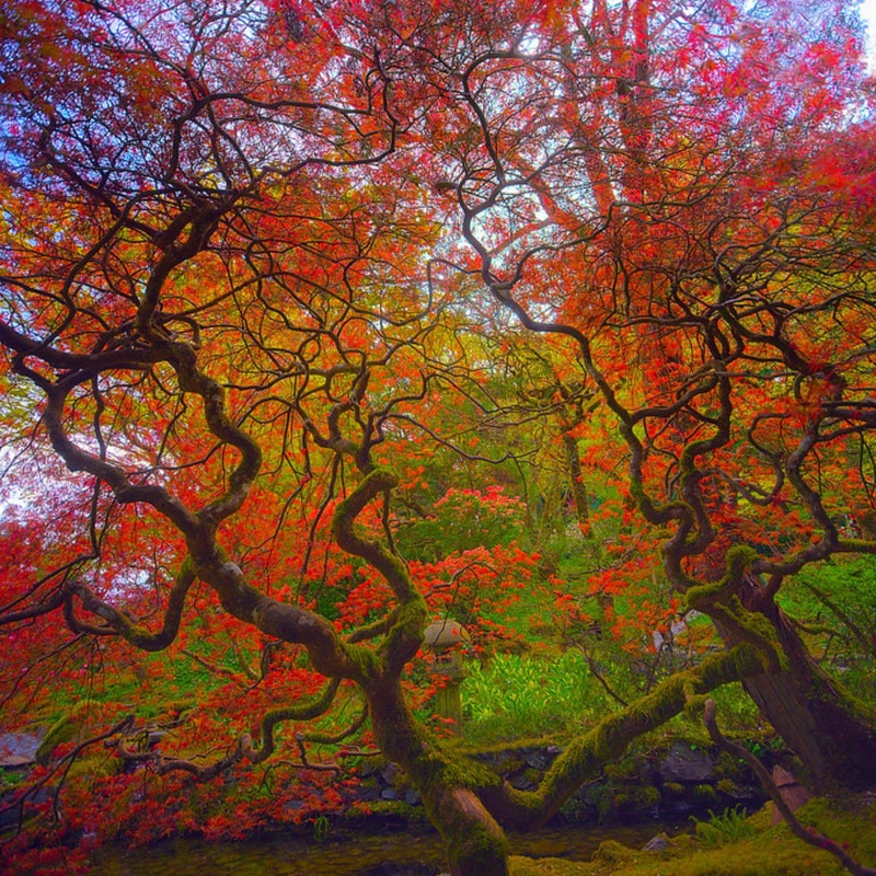 SteveHostetlerPhoto - Etsy