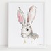 Rabbit Watercolor Painting | "jackrabbit" by Jess Buhman, Multiple ...