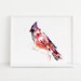 Cardinal Watercolor Painting | "the Cardinal Rule" by Jess Buhman ...