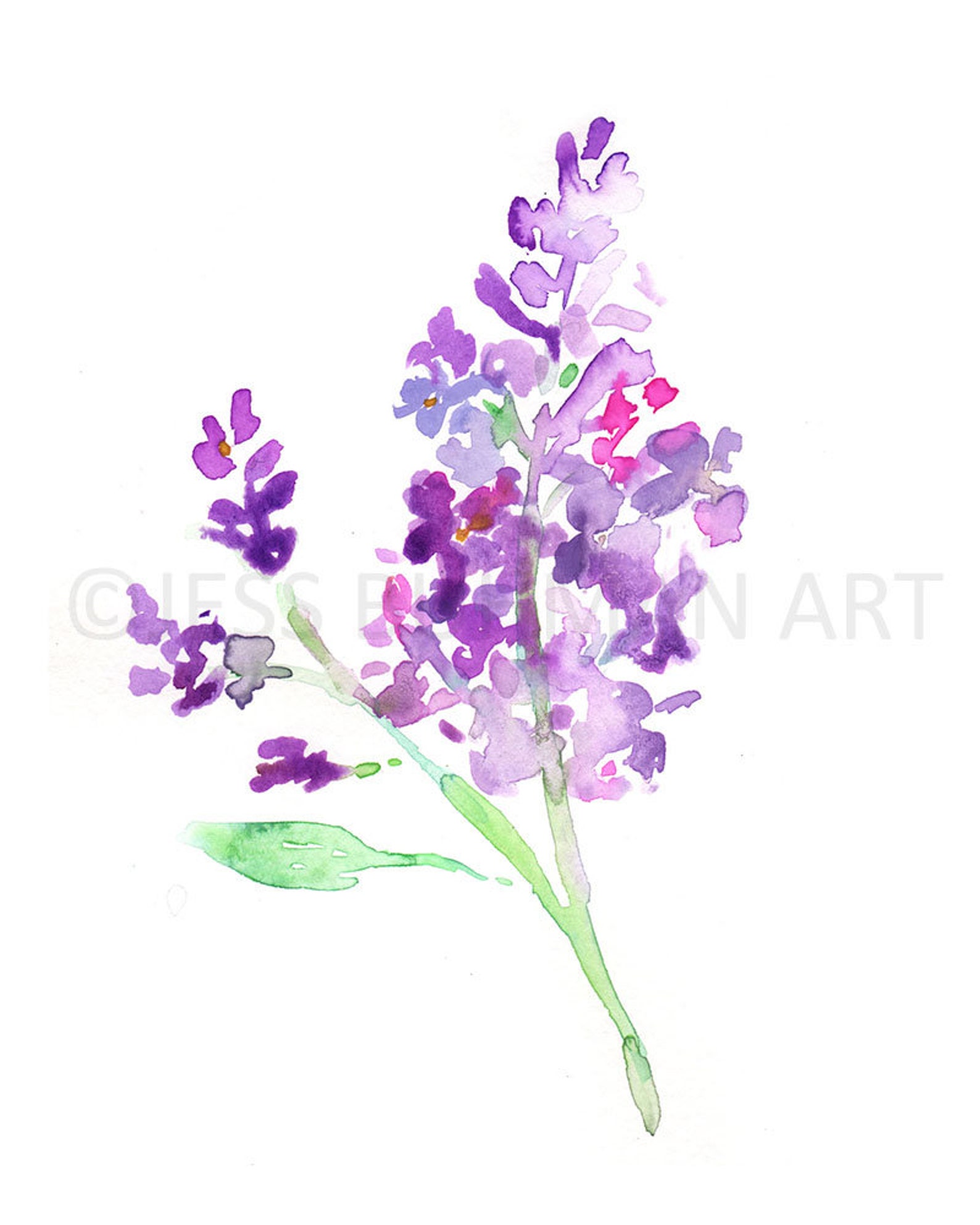 Lilac Watercolor Print lilac Season by Jess - Etsy