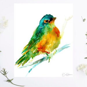 Bird Watercolor Print | "cooper the Green Bird" by Jess Buhman ...
