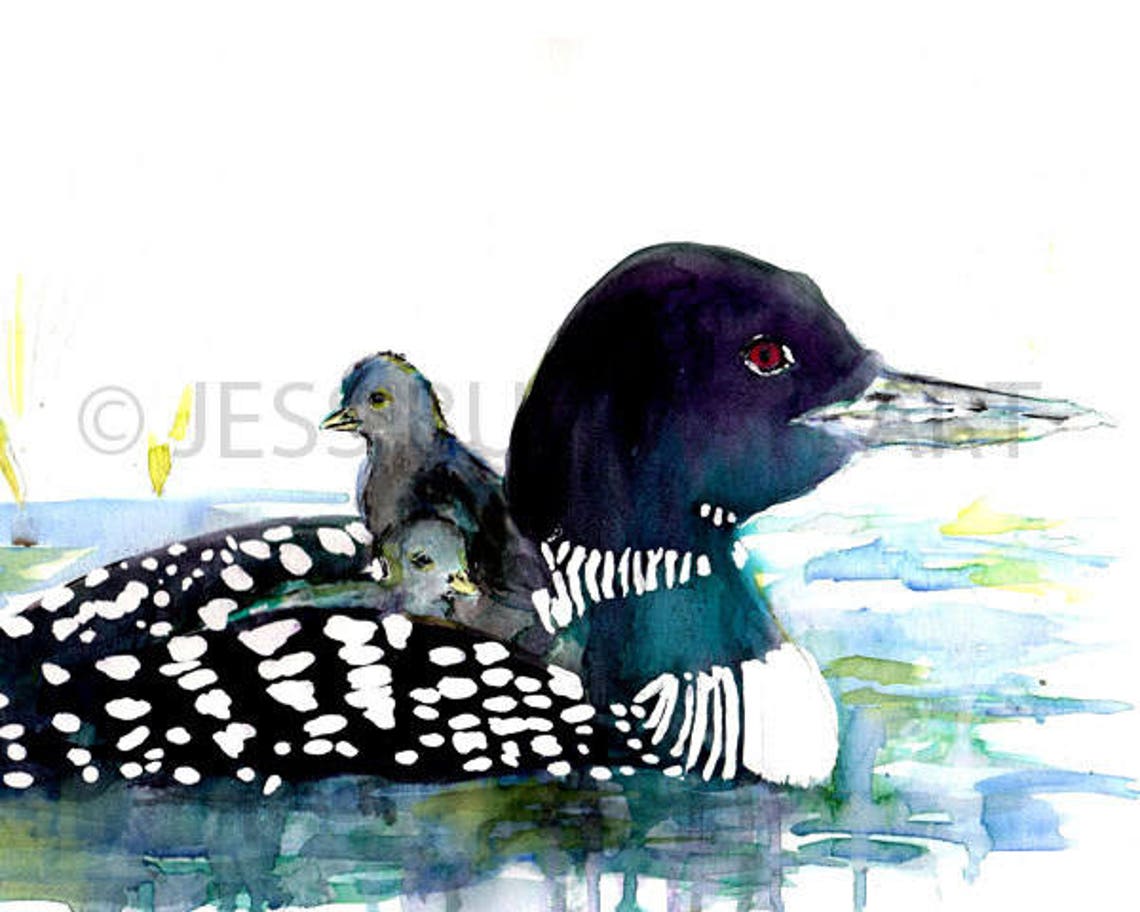 Loon Painting, Digital Download Print | "loon Love" by Jess Buhman, 8 ...