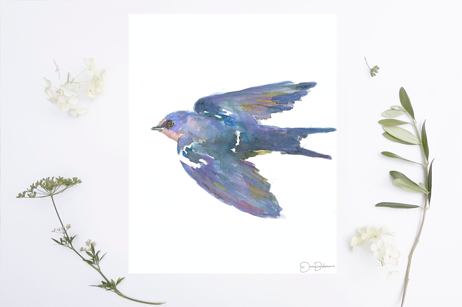 Barn Swallow Watercolor | "barn Swallow" by Jess Buhman, Multiple Sizes ...