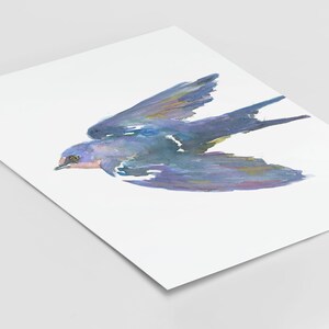 Barn Swallow Watercolor | "barn Swallow" by Jess Buhman, Multiple Sizes ...