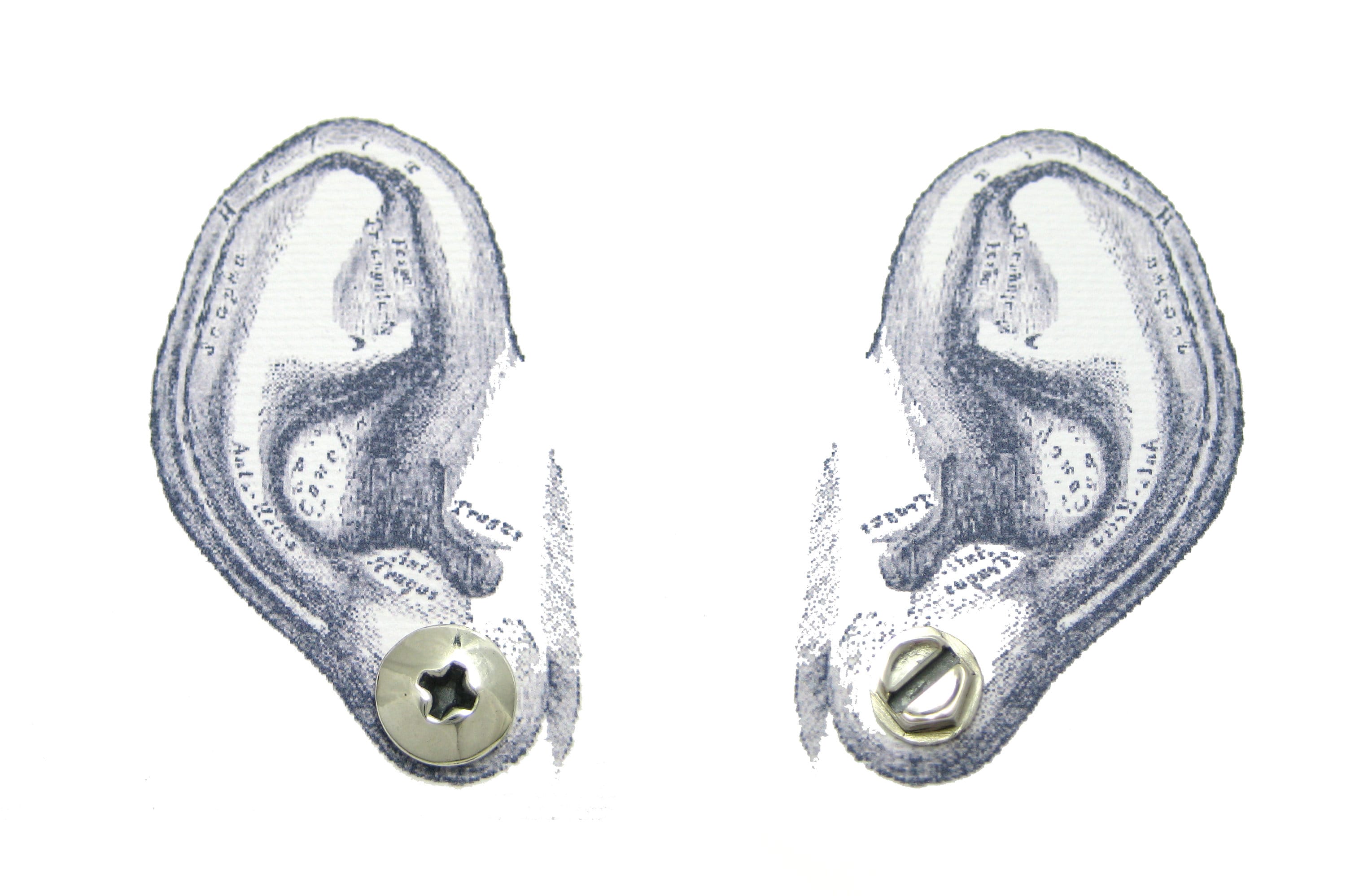 PICK TWO Polished Silver Screw Head Stud Earrings for Men and Women ...