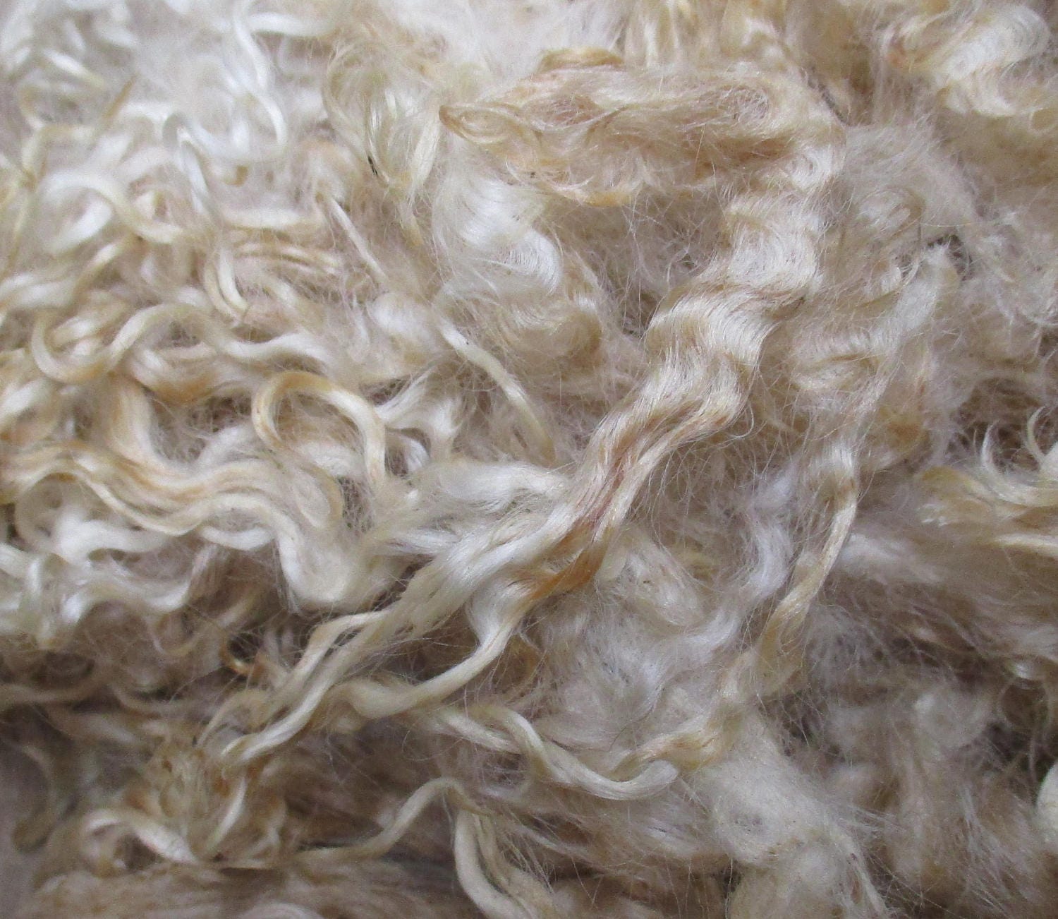 Raw Unwashed Teeswater Loose Fibre Undyed for Spinning and Crafts 200g ...