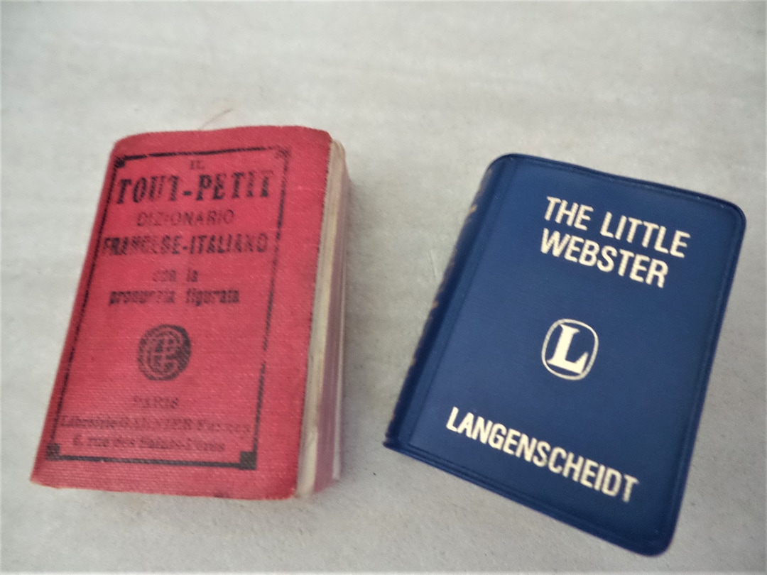 The Little Webster by Langenscheidt and Tout-petit Translation Mini ...