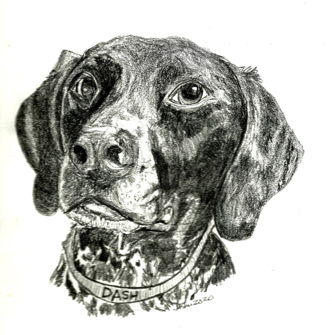 Dog Portrait - Personalized Dog Drawing - Pet Memorial Portrait ...